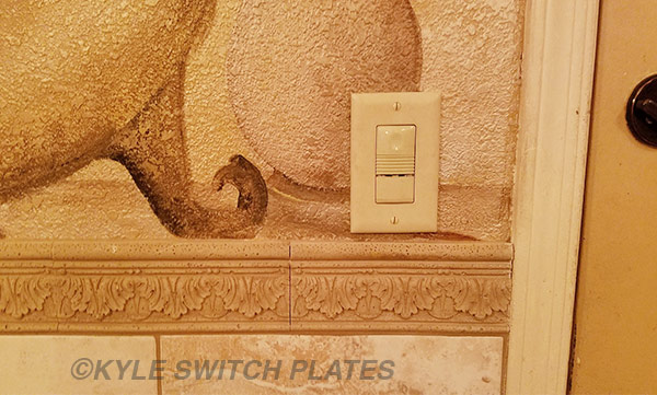 Kyle Switch Plates: Options for Adding Wall Tile or Trim Around Light ...