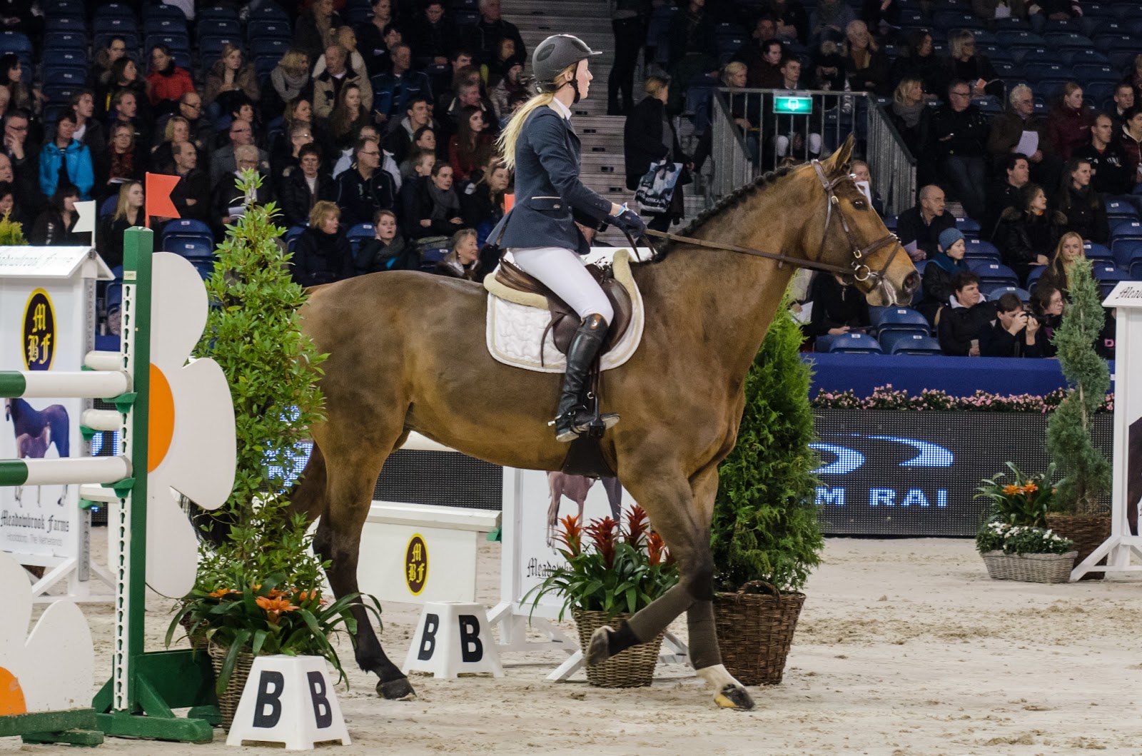 corbakphotography: Paardensport springen