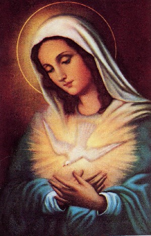 LA ENCARNACIÓN. 2016 | Granada: Luz, Color y Literatura