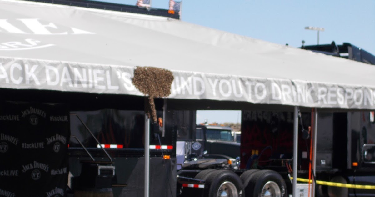 Cletha's Adventures: Phoenix Bike Week - Day 5