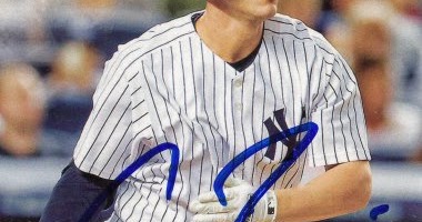 Daily Autograph: Greg Bird