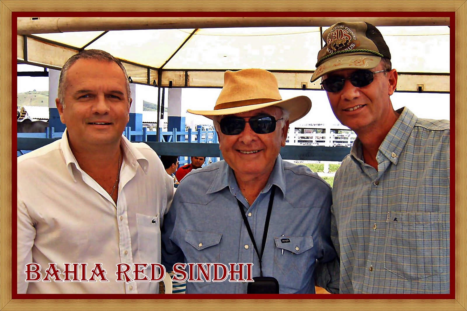 Bahia Red Sindhi: BAHIA RED SINDHI