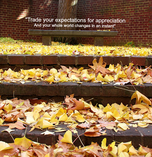 On Giving Thanks [ Being Ron ]