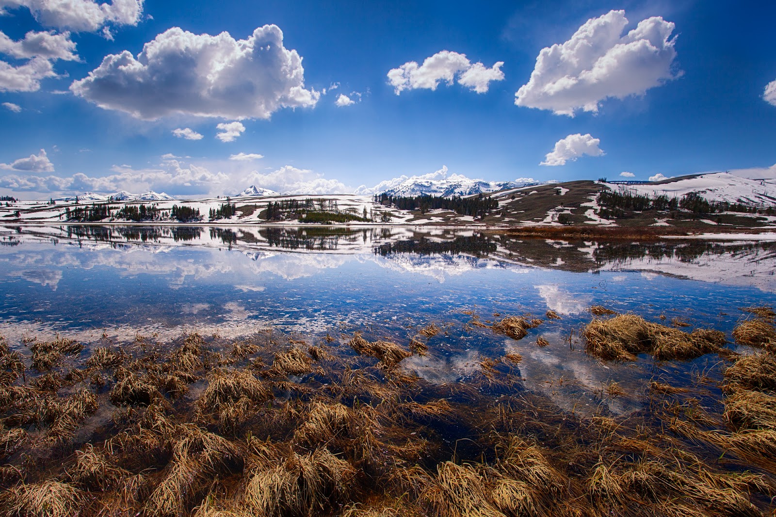 22 imágenes muy lindas que puedes utilizar como fondos para tu pc ...
