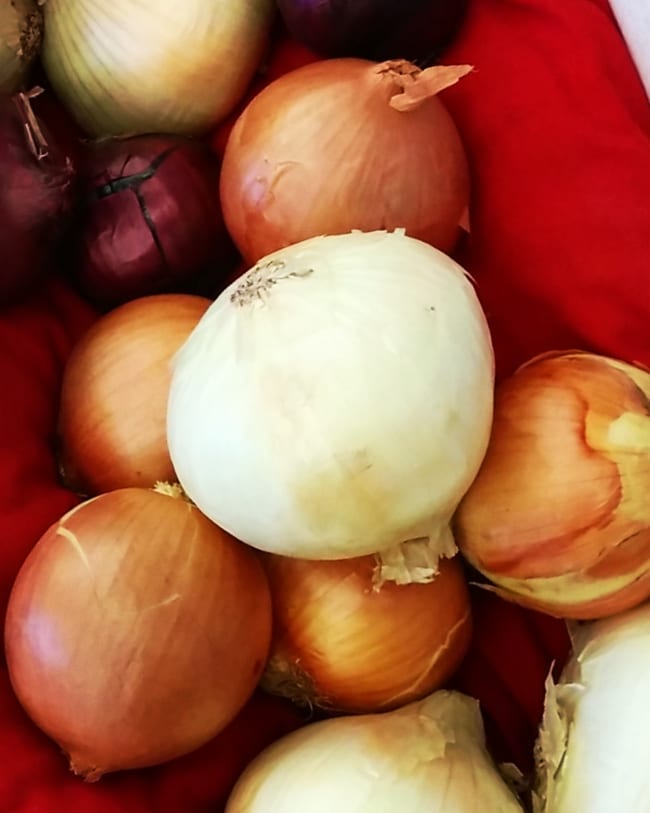 Realidad TEA y diversidad : LA CANTATA DE LAS CEBOLLAS: EL MUSICAL DE ...