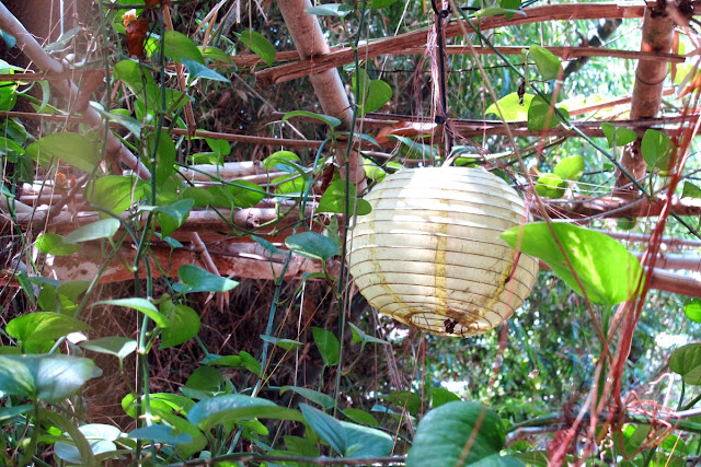 Anna's journeys: Kinabuhayan Cafe, Dolores, Quezon