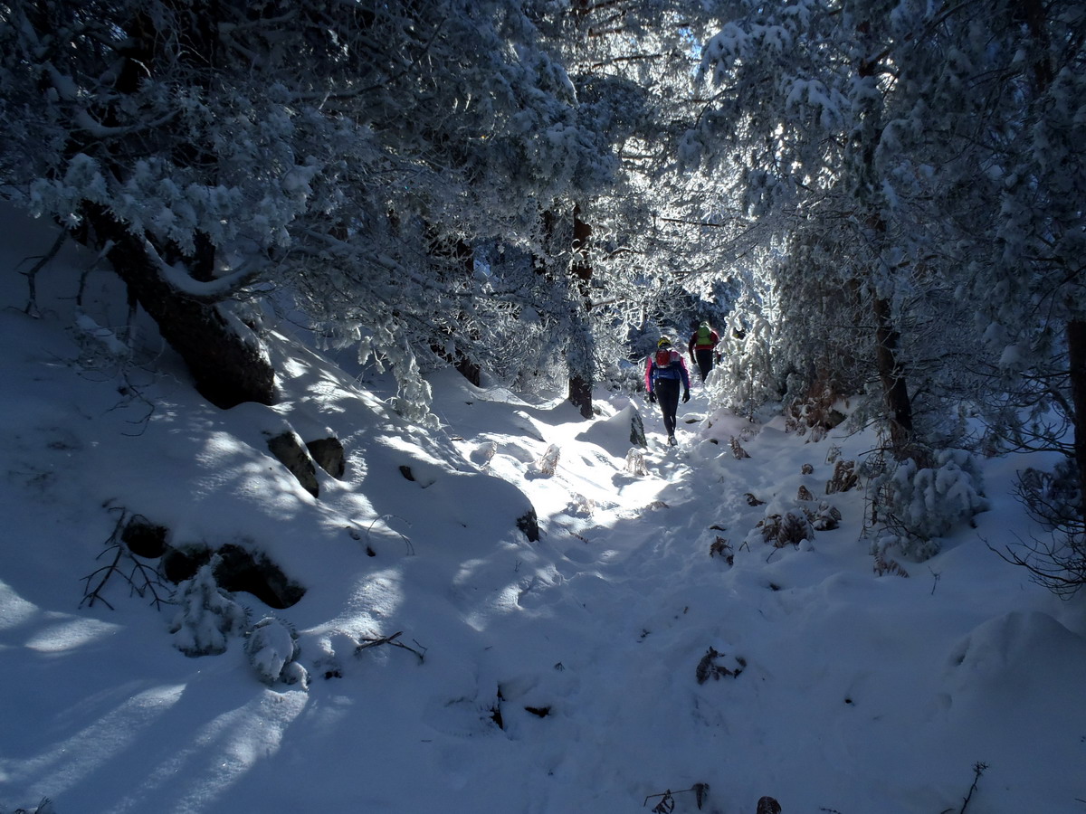 El Sherpa Loco: Más fresquitos que Walt Disney