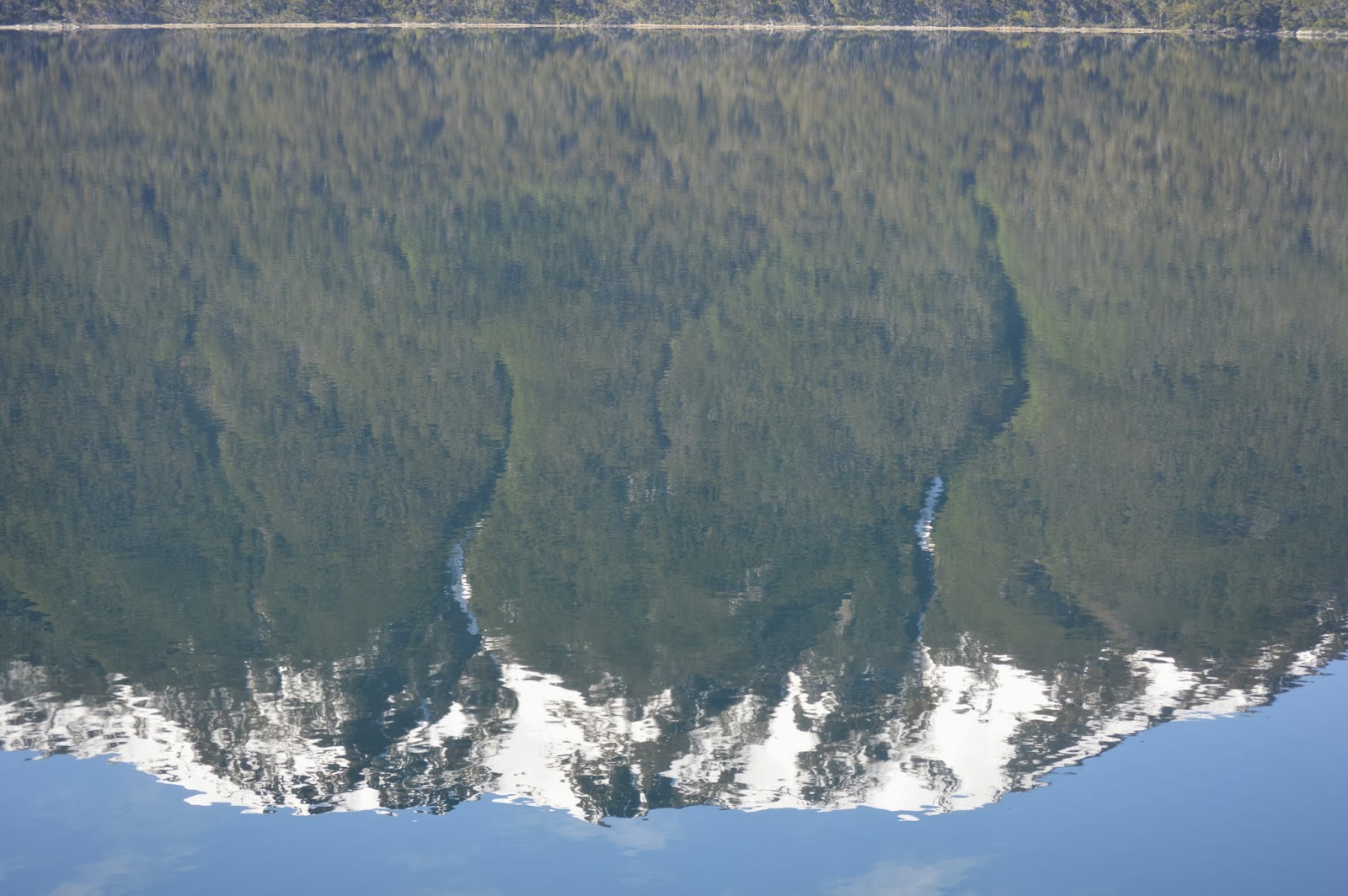 Scenic Cruising: Cockburn Channel, Glacier Alley and Beagle Channel