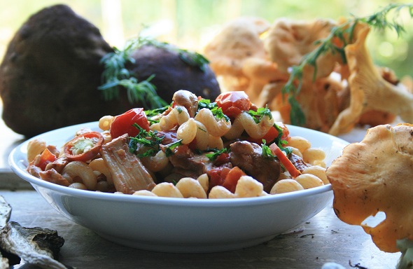 Ricette al Verde: Celentani integrali ai gallinacci