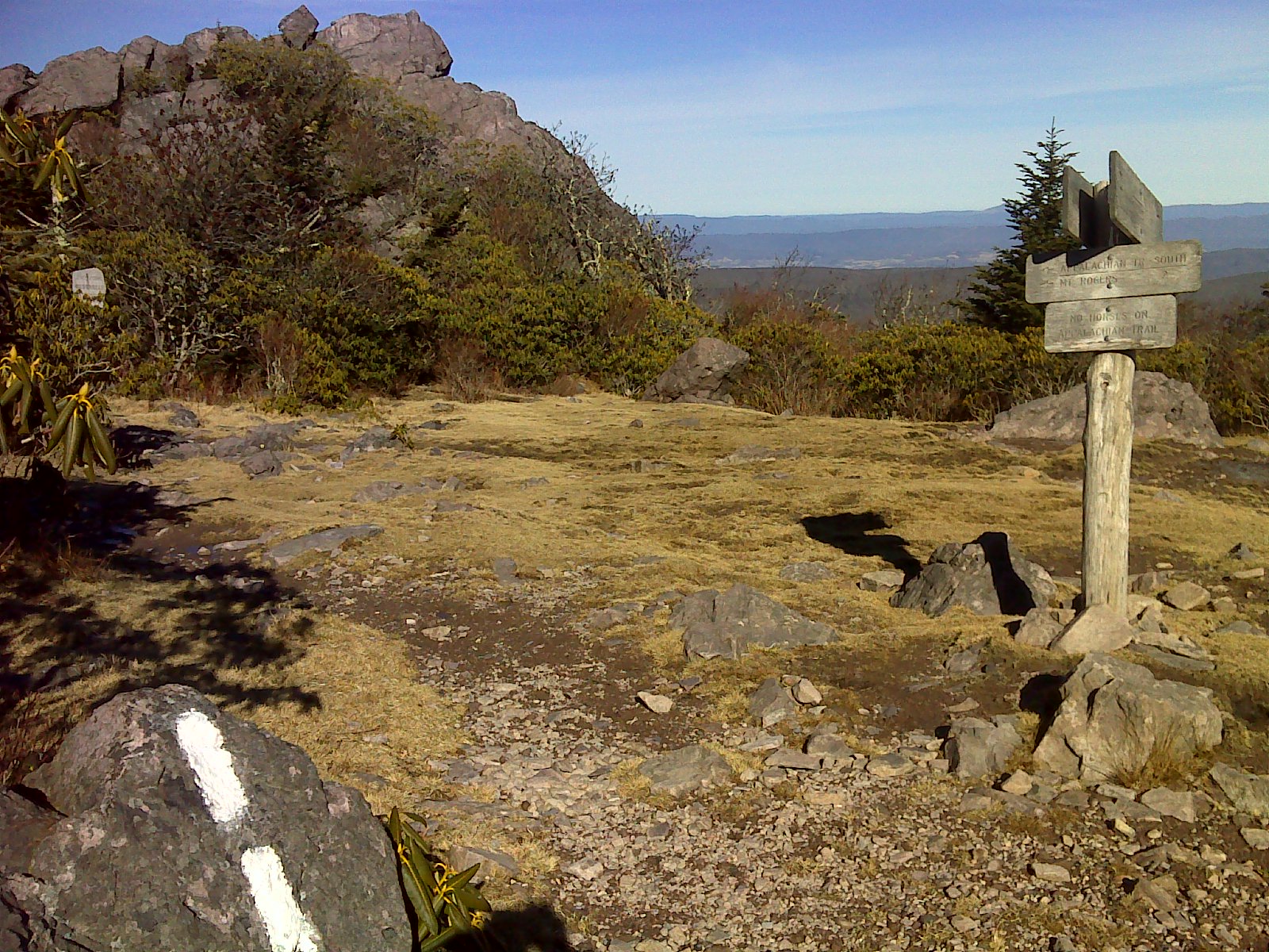 Heart and Sole: Farewell to Mount Rogers