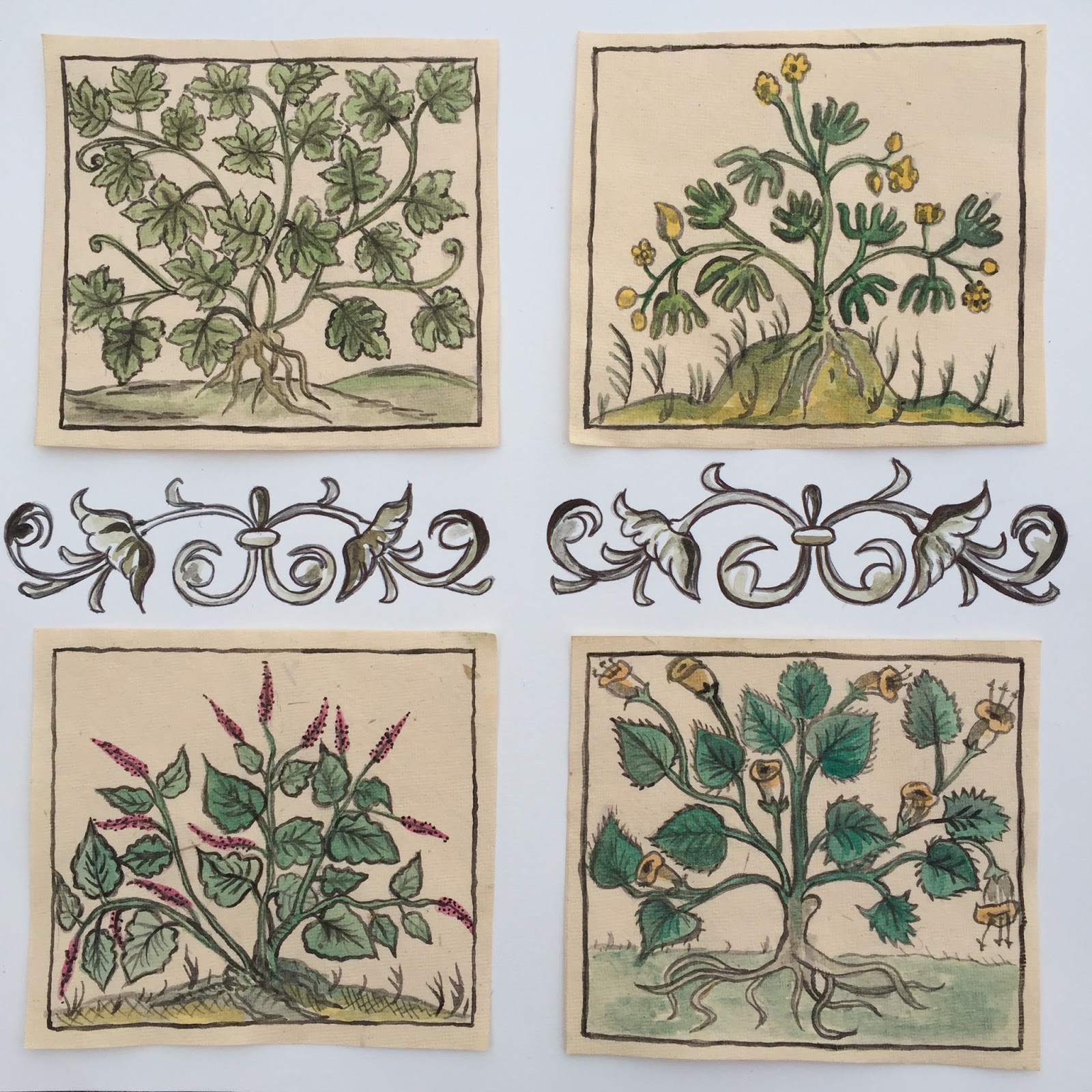 El jardin del monasterio: 24x24 Codex Florentinus.1