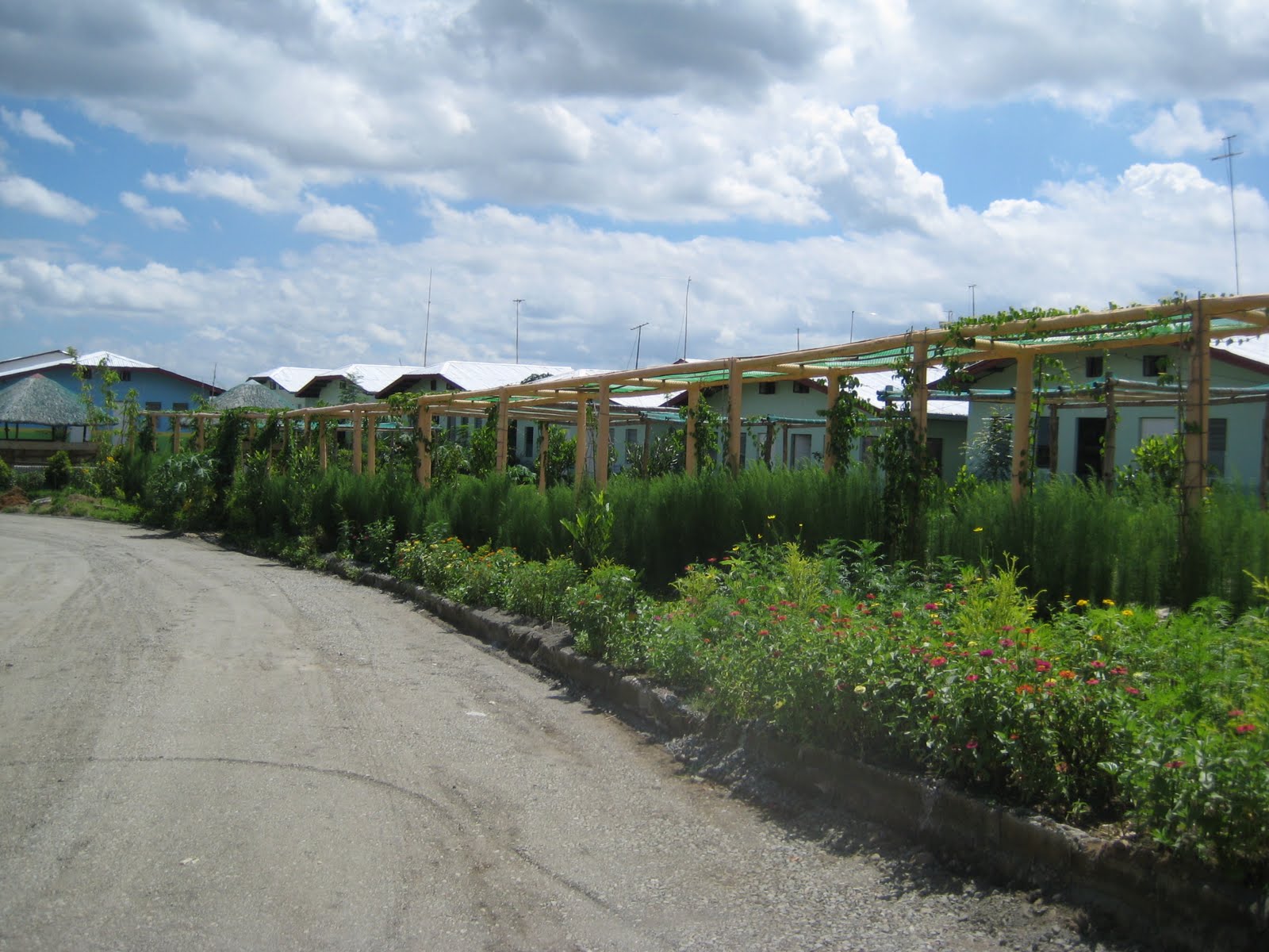 The Enchanted Farm (Almost a Fairy Tale) ~ HUMAN FACE by Ceres