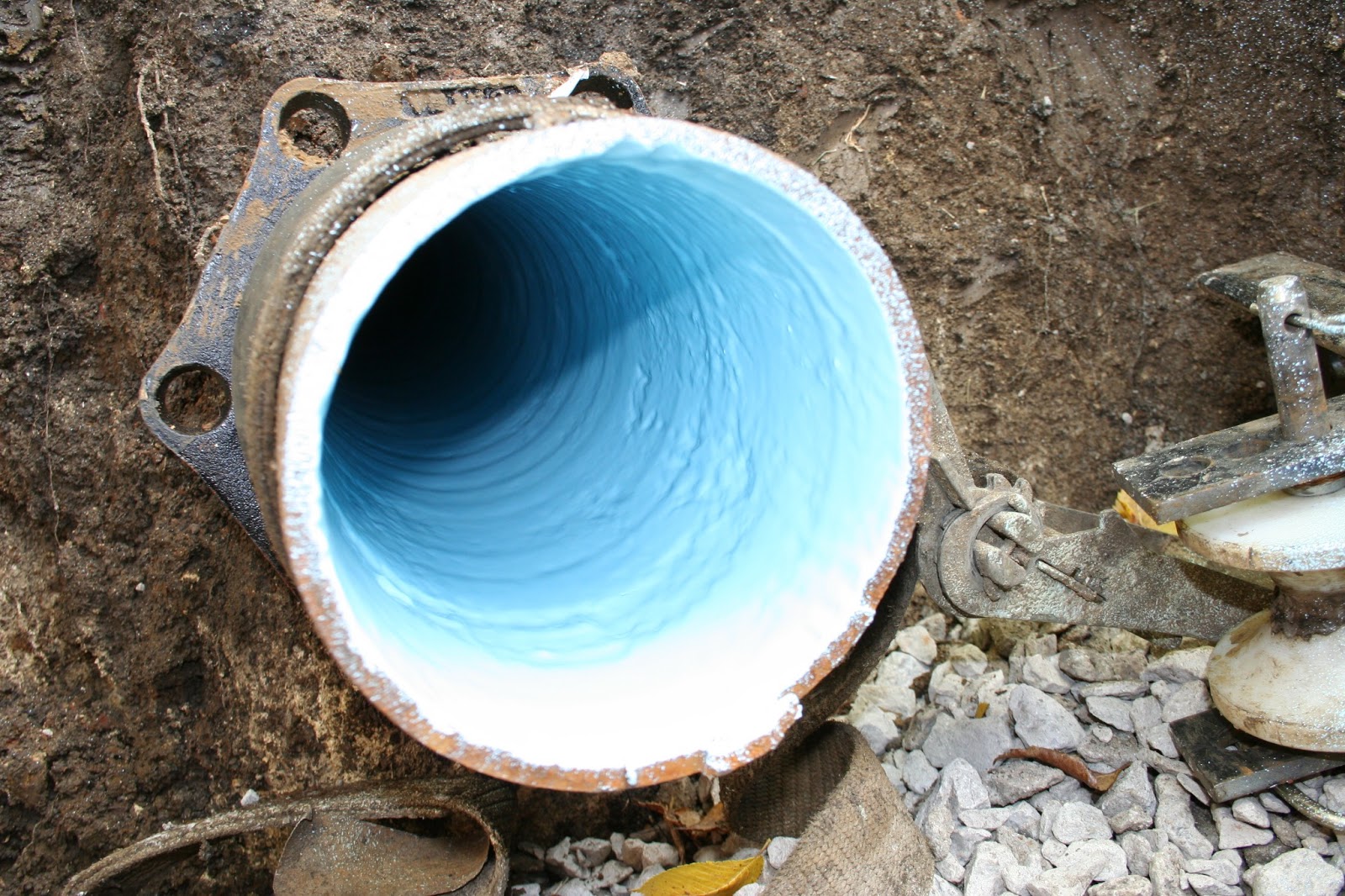 Sustaining the Earth's Source of LIFE......: Prolonging the Life of our ...