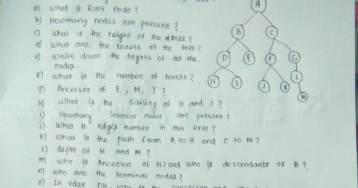 Lpu Exams Papers Notes Ca Mte Ete Projects Lpu Cse205 Data Structures And Algorithms