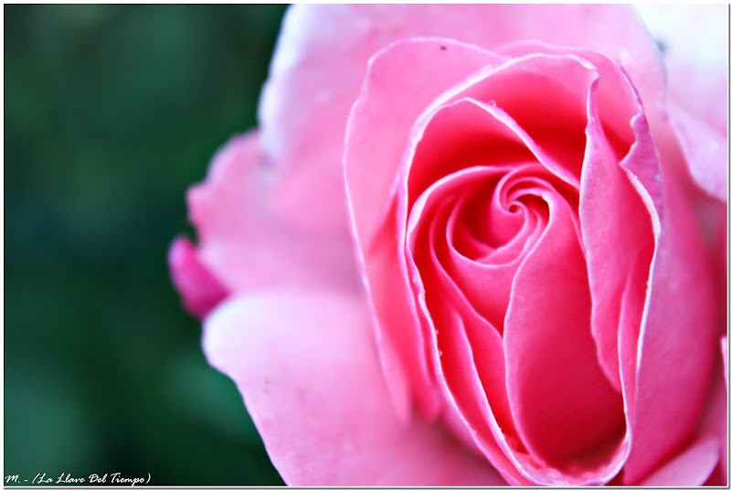 La llave del tiempo: junio 2012