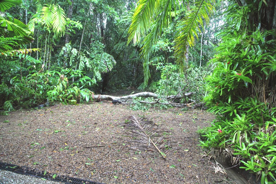 BunyipCo: April 2014