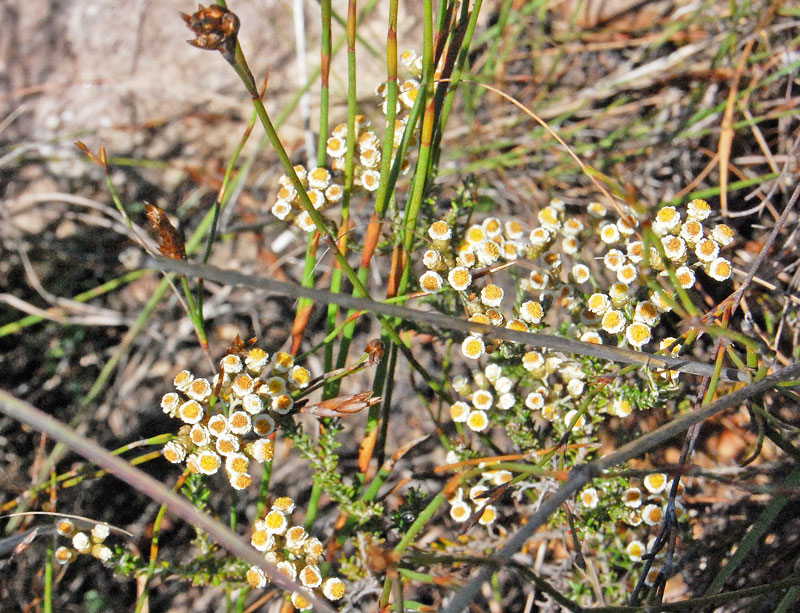 .: Akasha Mountain Retreat - The beauty of nature