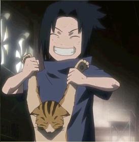 Universo Animangá: Naruto, Sasuke, Sakura e Kakashi viraram gatos!