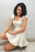 Sheetal Singh hot photo shoot gallery