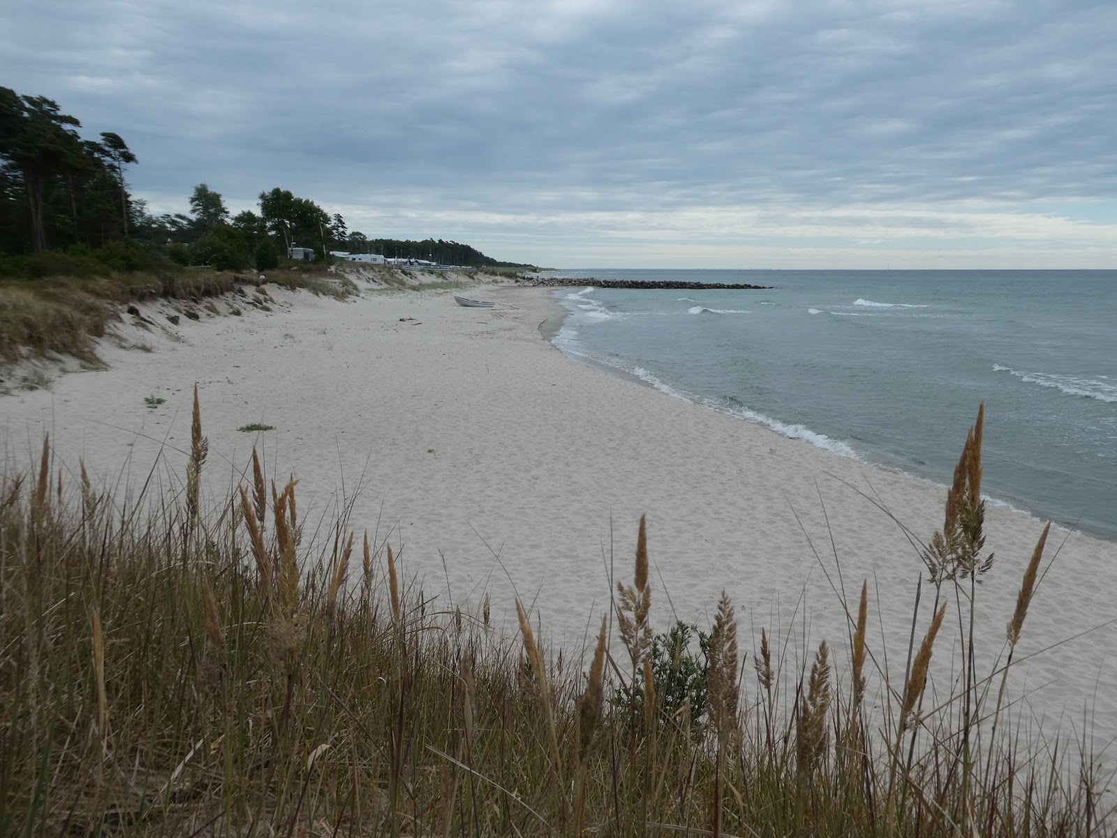 Skånska Resor: Världens bästa badstrand