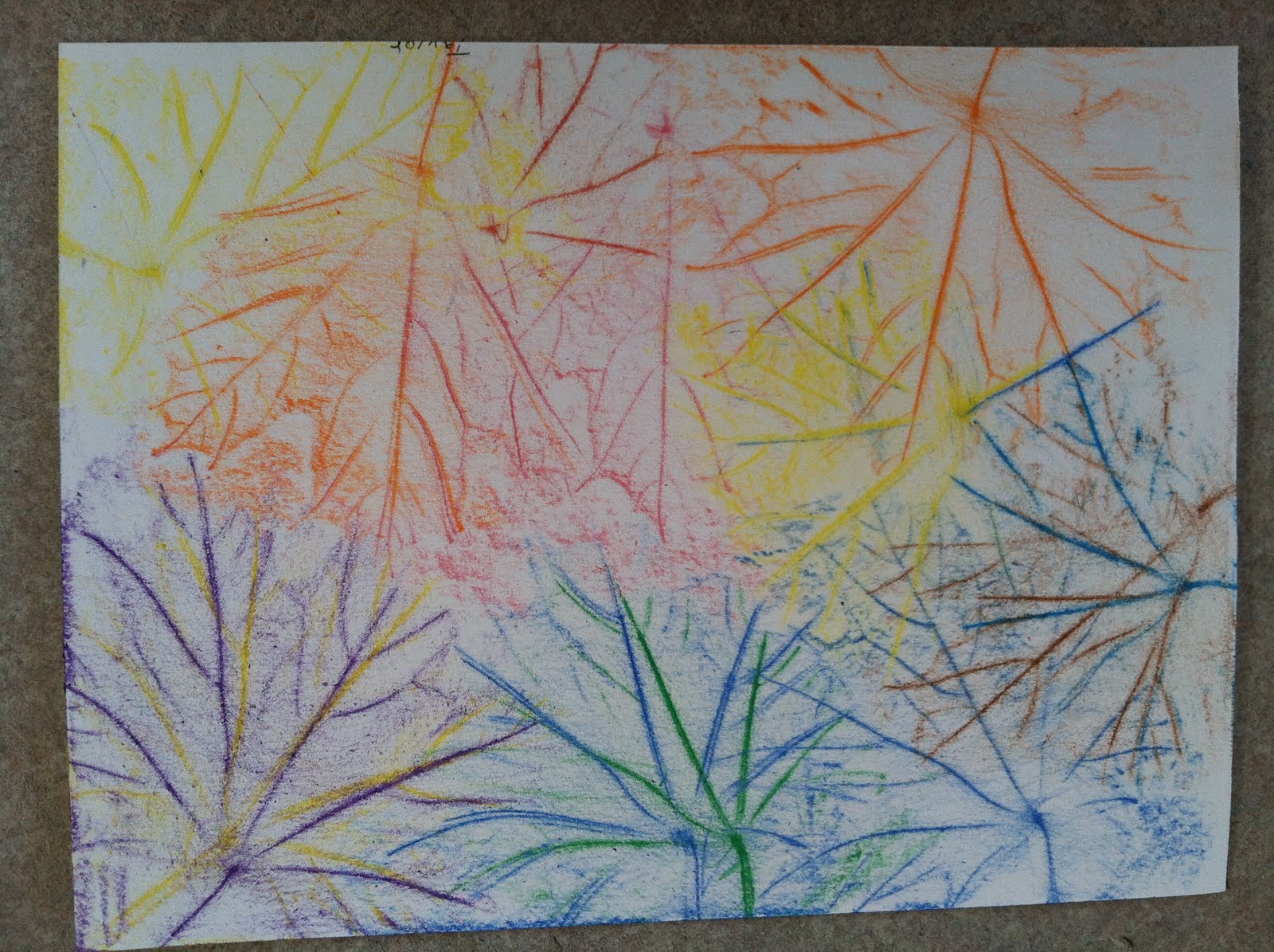 ART at NTA !: Leaf Texture Rubbings