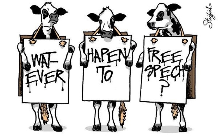 The Daily Rainbow: Chick-fil-A