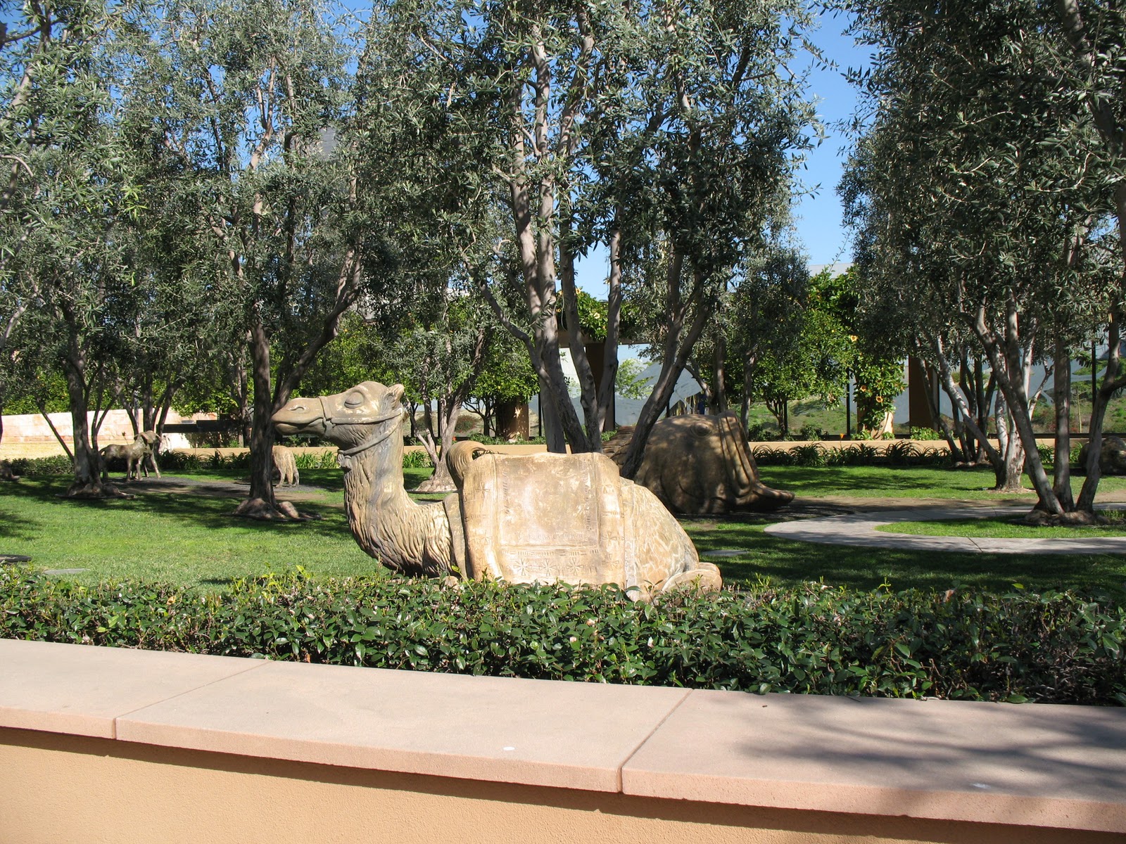 Martin & Susan Johnson - World Tour