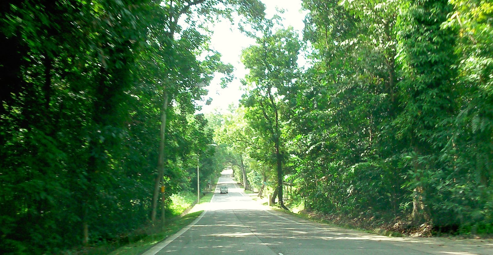 Amore Ocean Blog: Punggol Point Park and Punggol Jetty