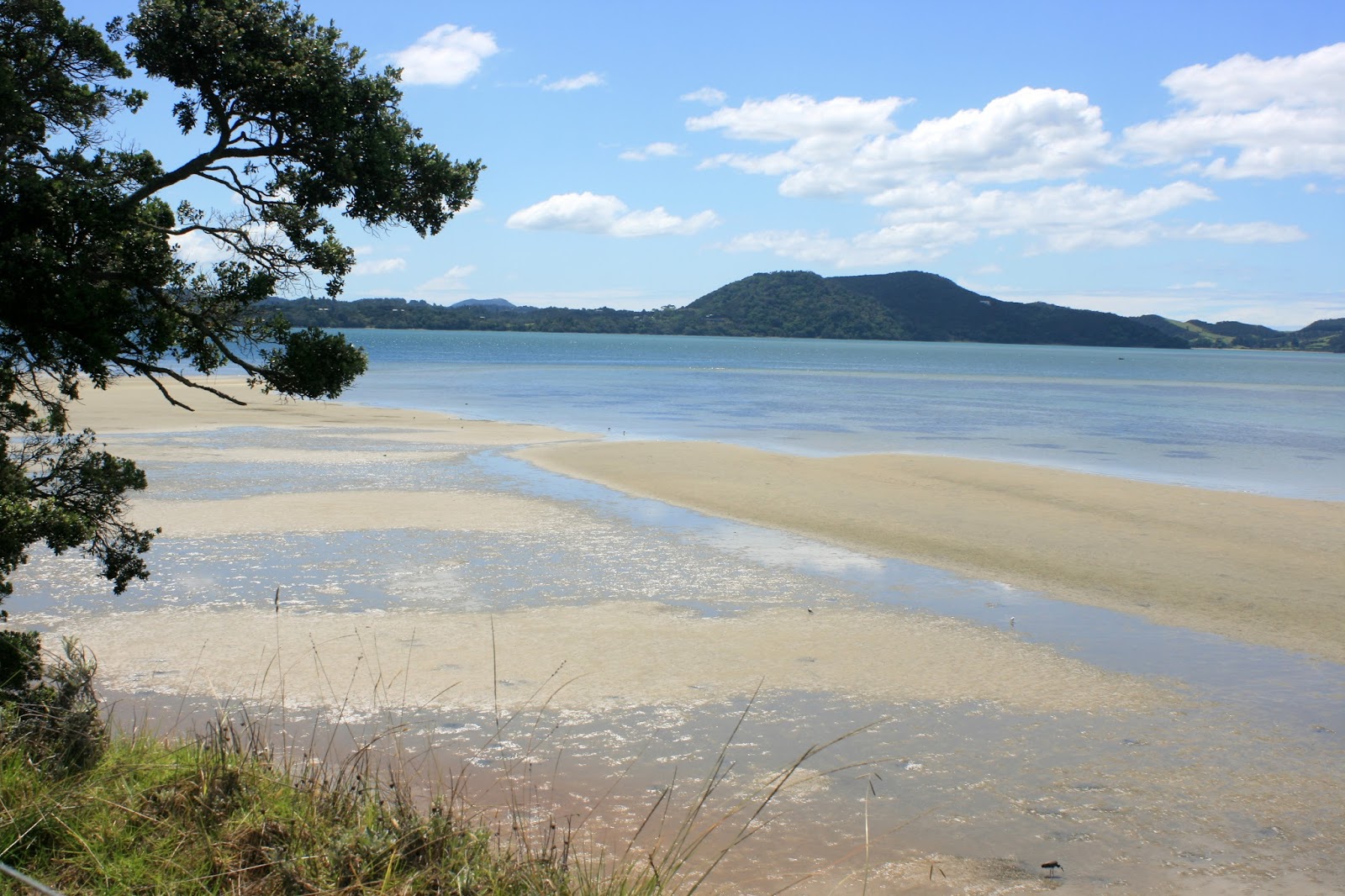 Mission To The Land of The Long White Cloud: Family History in Bream Bay