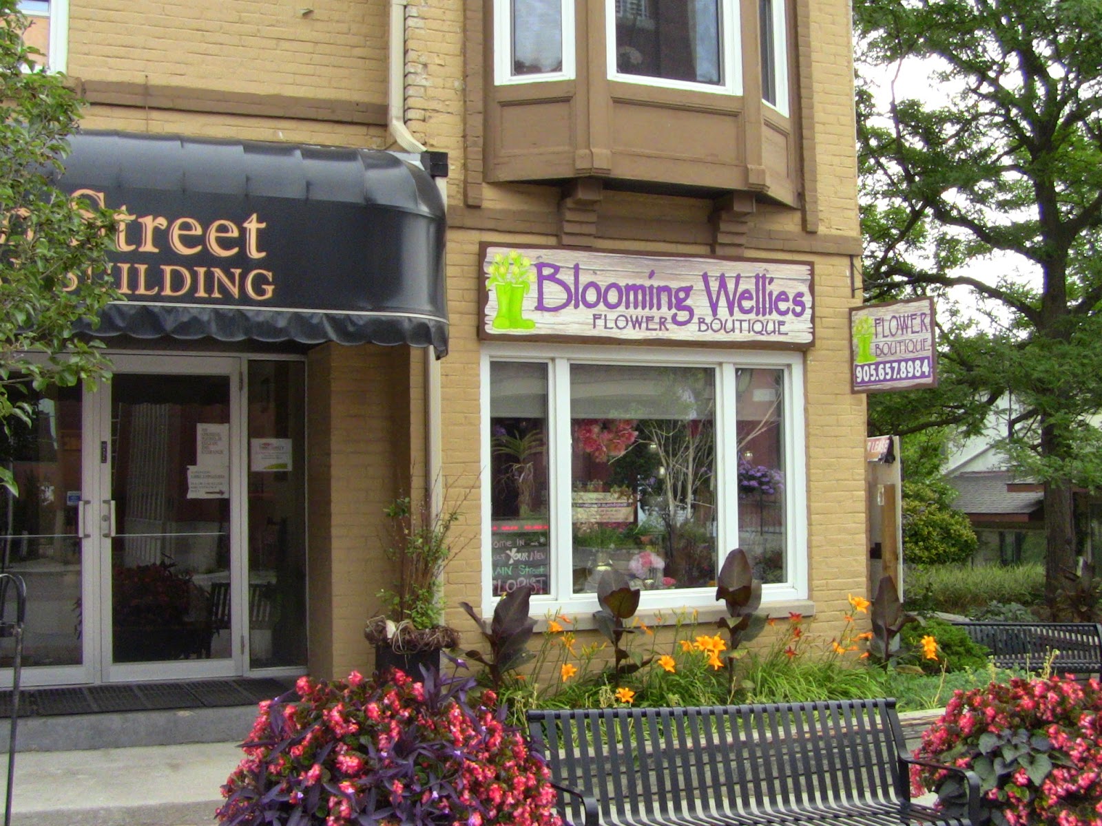 TP Entertainment and Productions: Newmarket's Famous Main St - Shopping ...