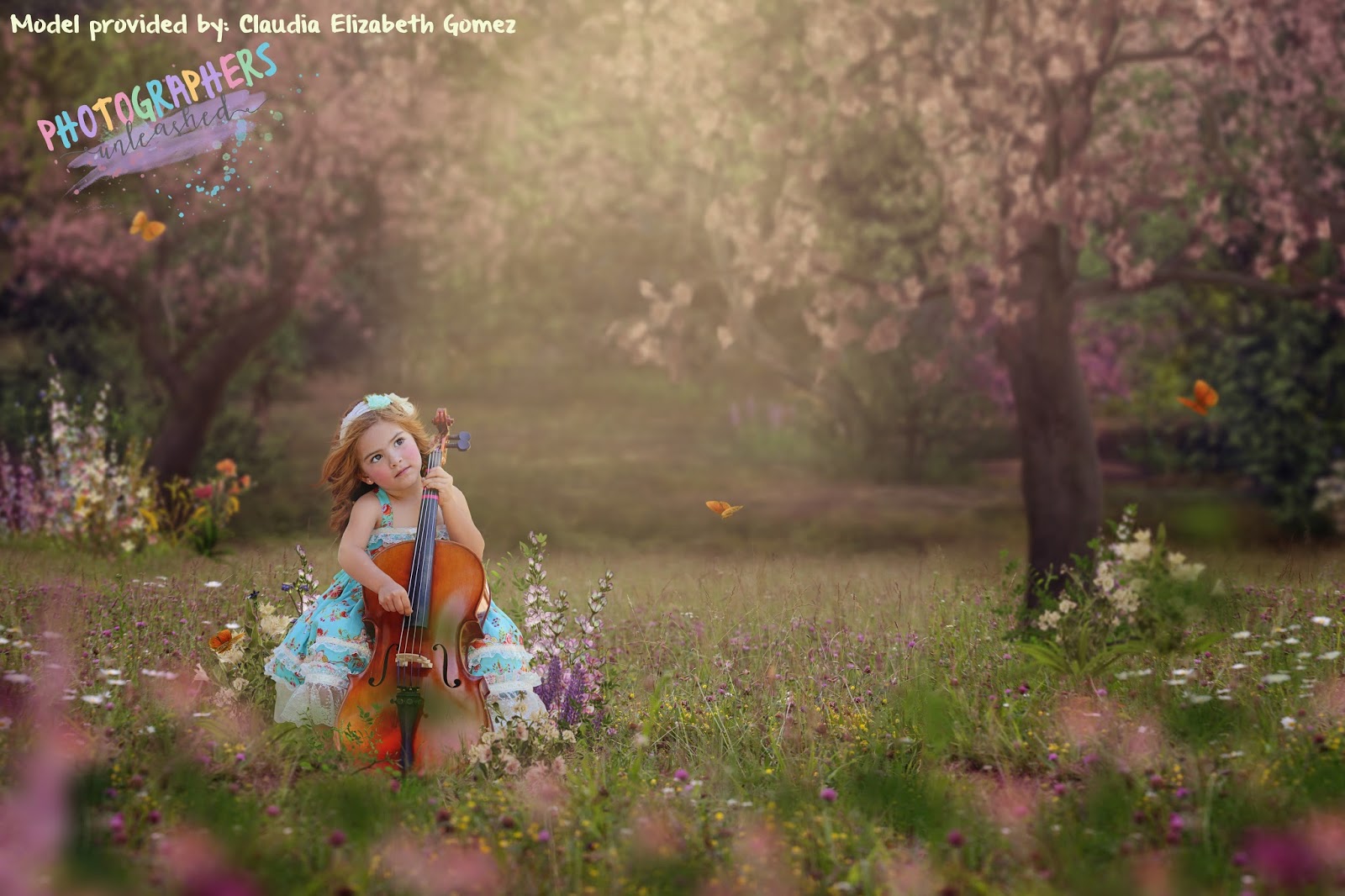 Photographers Unleashed "Official Site" : Sweet Summers Photoshop ...
