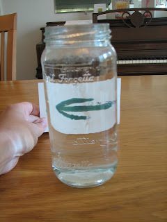 Science Matters: Light: Refraction: Flip an Arrow