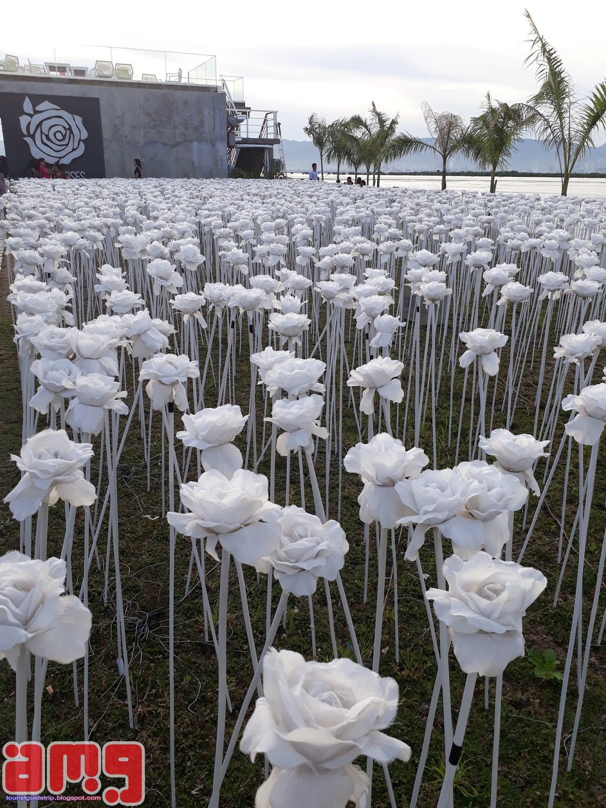 10,000 Roses Café, Day-As, Cordova, Cebu ~ AMG Tourist Spot Guide