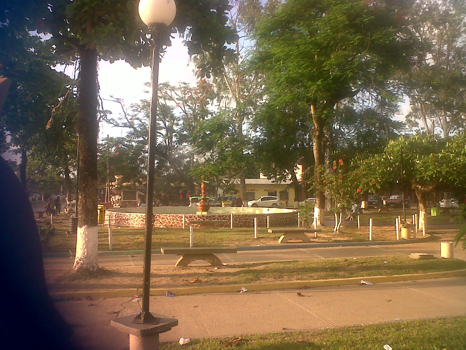 Parque Central De Tocoa Colon