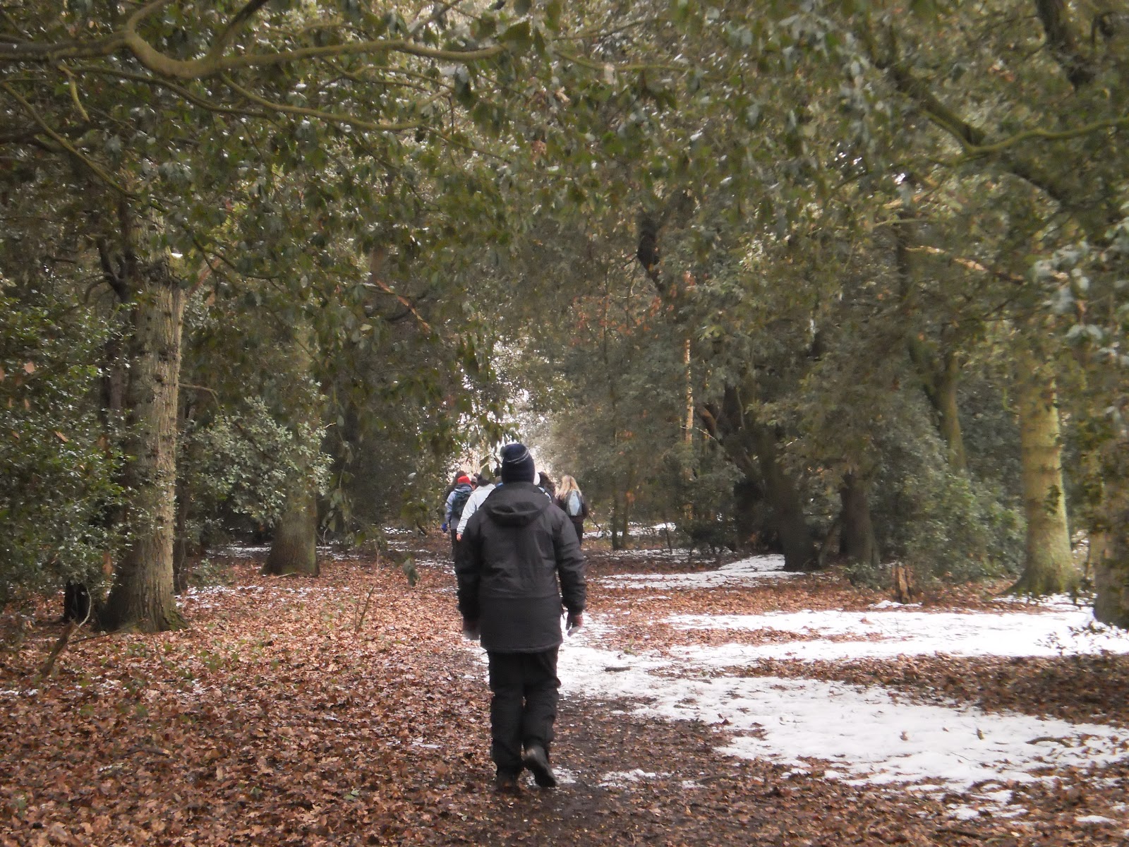 Las rutas de Nu: Gerrards Cross - Bulstrode Park