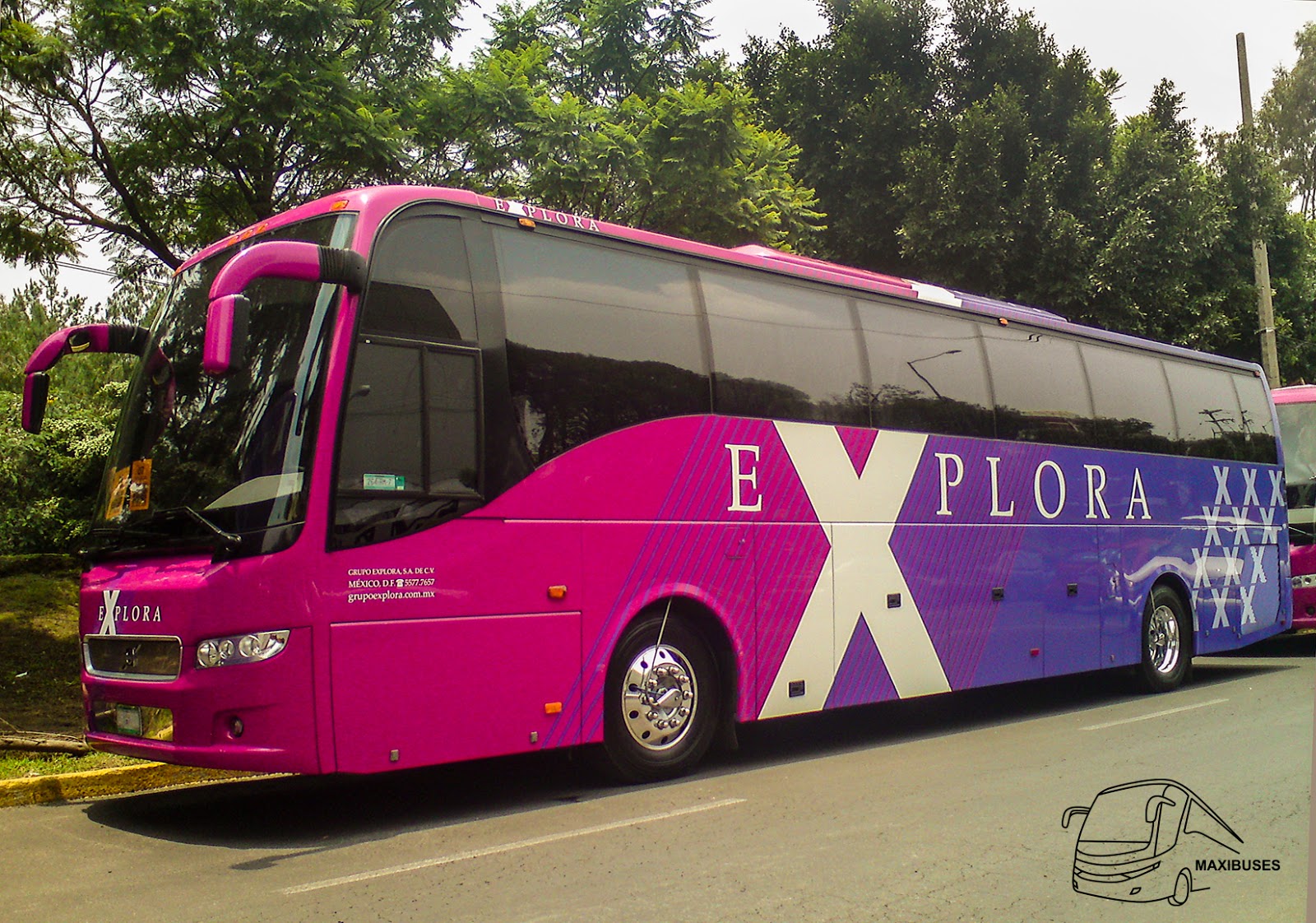 MAXIBUSES: AUTOBUSES EXPLORA TOURS (TURISMO)