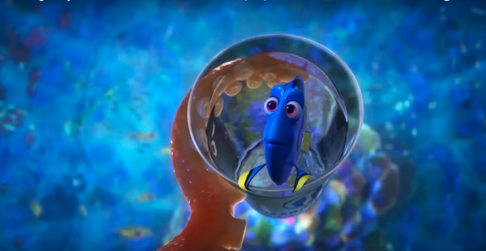 [MOVIE] 도리를 찾아서 Finding Dory