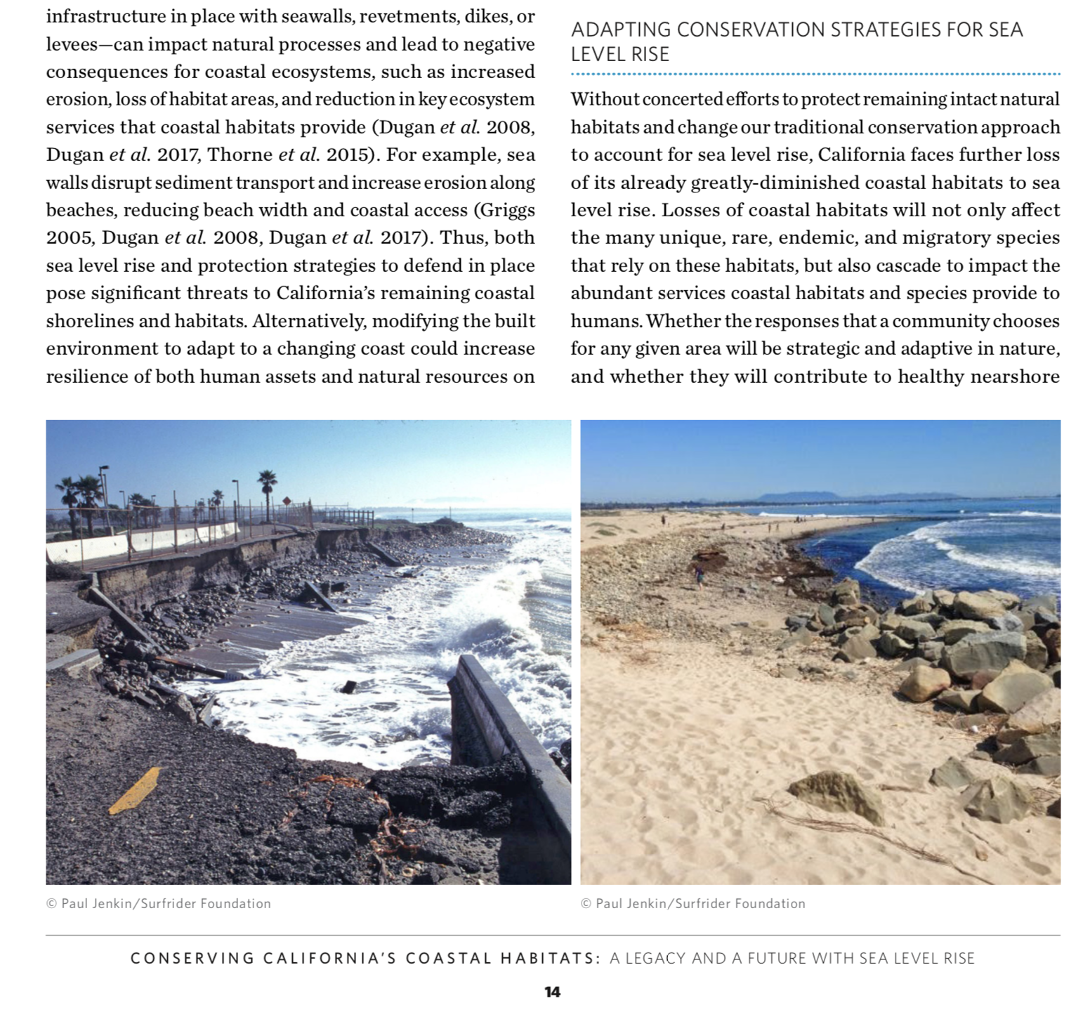 Ventura River Ecosystem: Conserving California’s Coastal Habitats