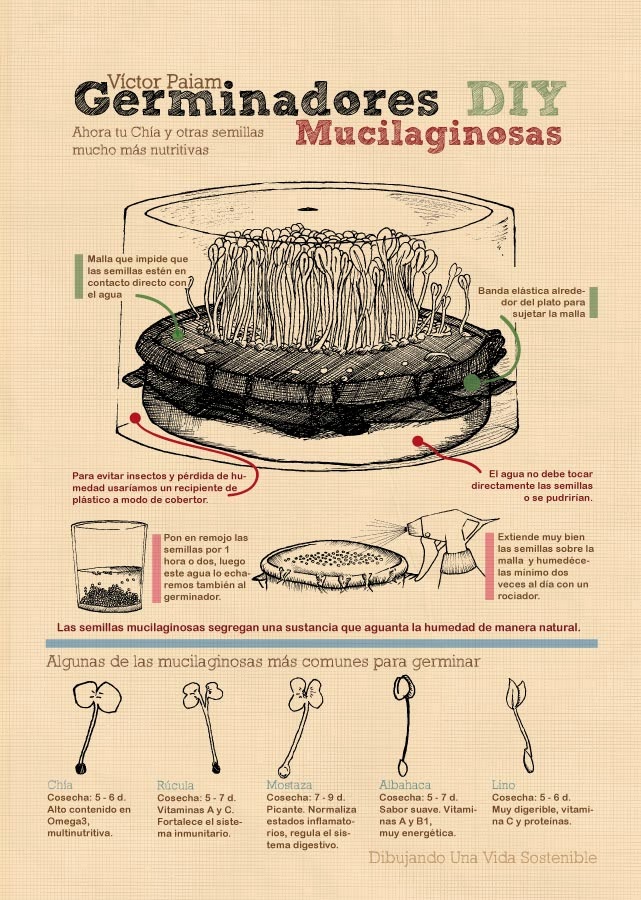 Víctor Paiam: Infographics - Mucilaginous Germinators