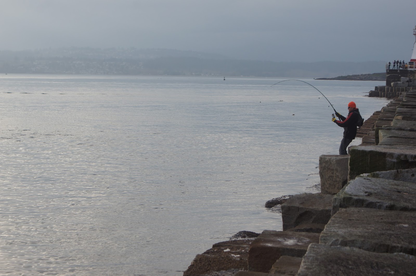 Victoria Daily Photo: Fishing on the Breakwater