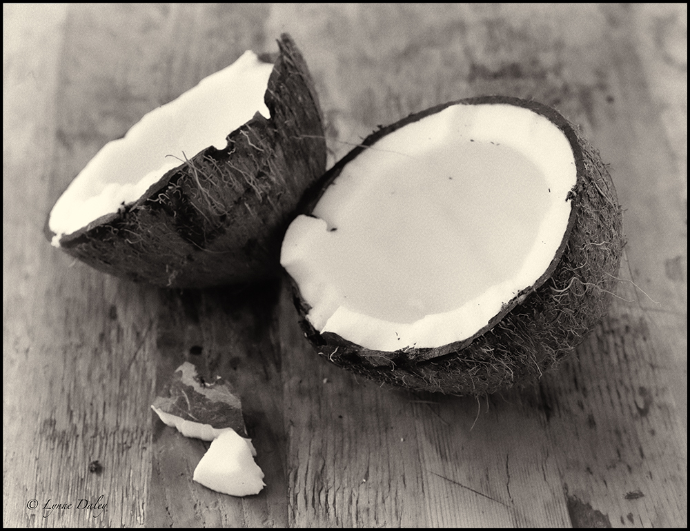 Cafe Lynnylu: Black and White Wednesday- Coconuts