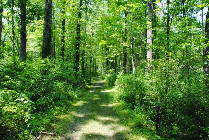 Southeastern PA Hiking: Lake Towhee County Park