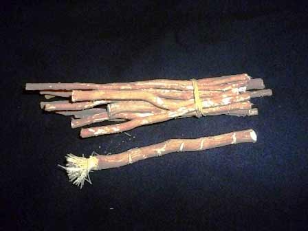 Nandanvan: Miswak or Meswak tree