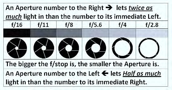 PENTAX DSLRs: Photography basics from ebooks4cameras.com - We don't ...