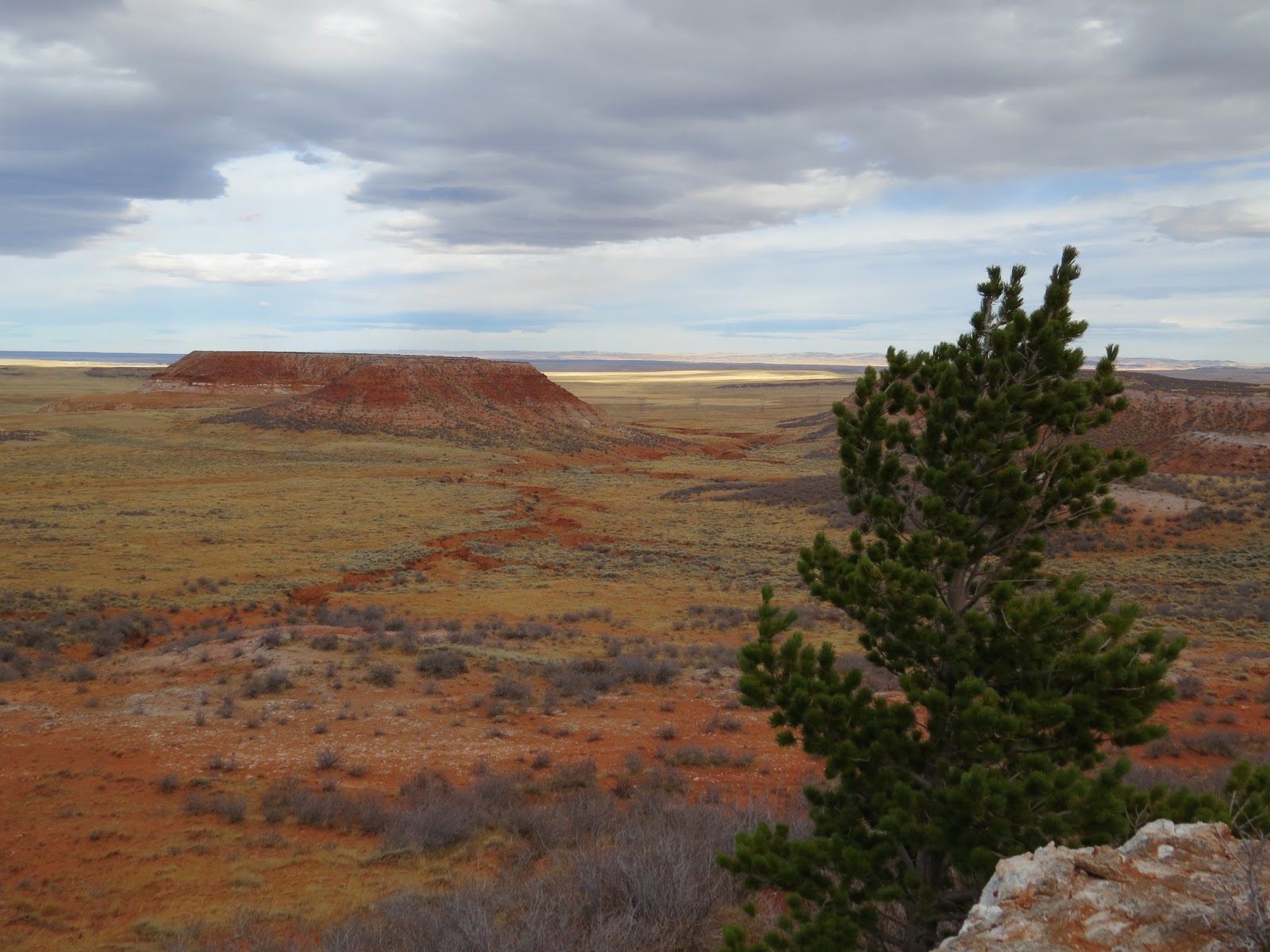 Have Book, Will Travel: Southeast Wyoming Landscape