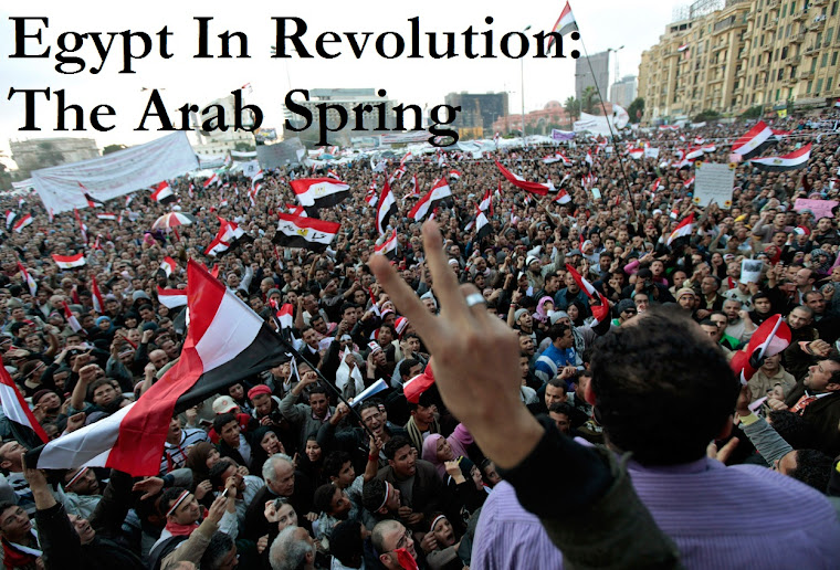 Egypt In Revolution: The Arab Spring: Egyptians Celebrate As Hosni ...