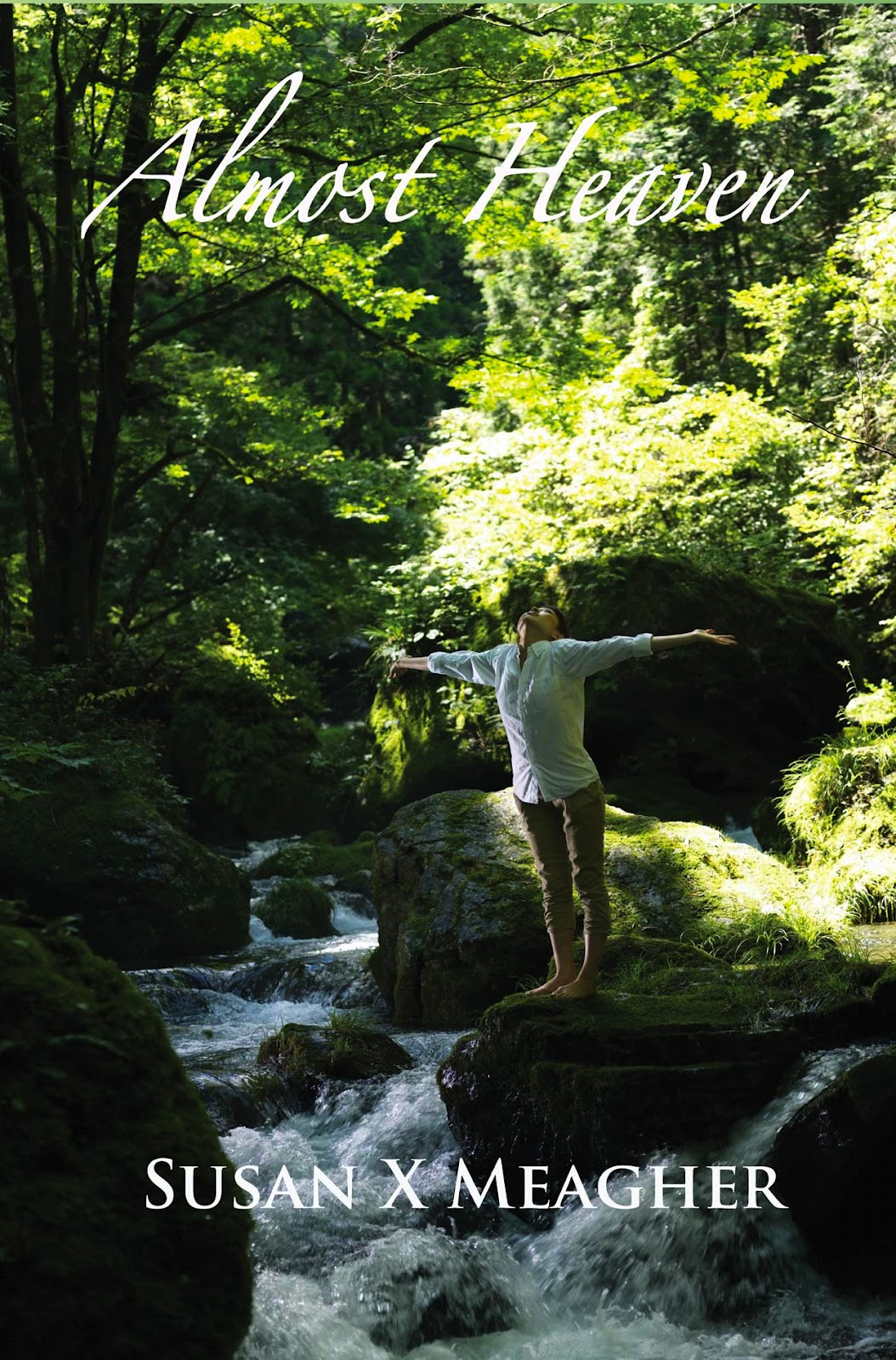 The Rainbow Reader: Almost Heaven by Susan X. Meagher