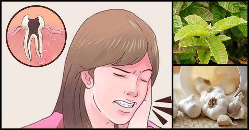 Different Types Of Herbs As Remedy For Toothache | Dr Farrah MD