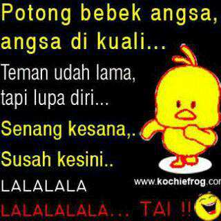 Kumpulan Foto Profil Whatsapp Lucu, Kocak Bikin Ngakak Terbaru 2021 ...