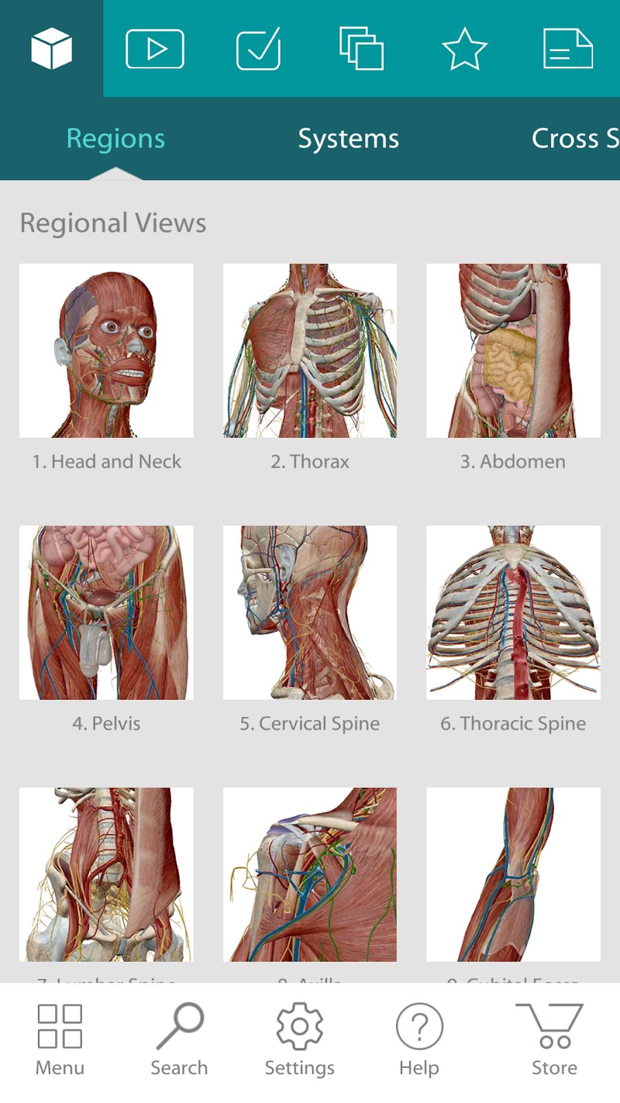 Human anatomy atlas 7.4.01 - hiddennolf